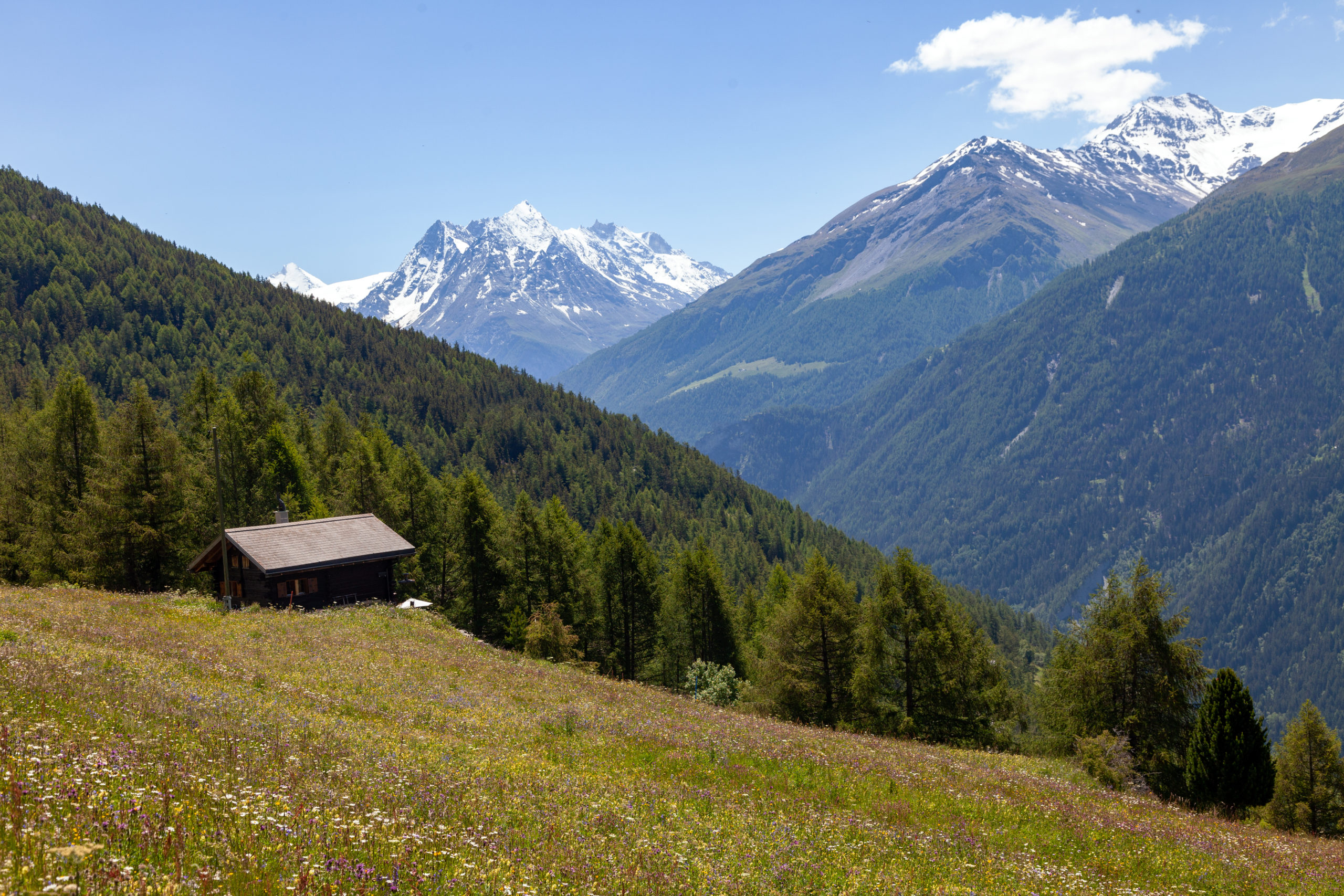 Nature et environnement - Commune de St-Martin - Valais - Suisse